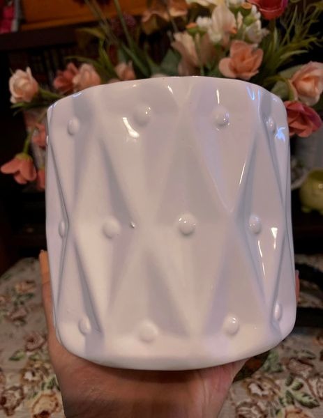 Modern Flower Pot Bought in Japan Daiso, Furniture & Home Living, Home ...