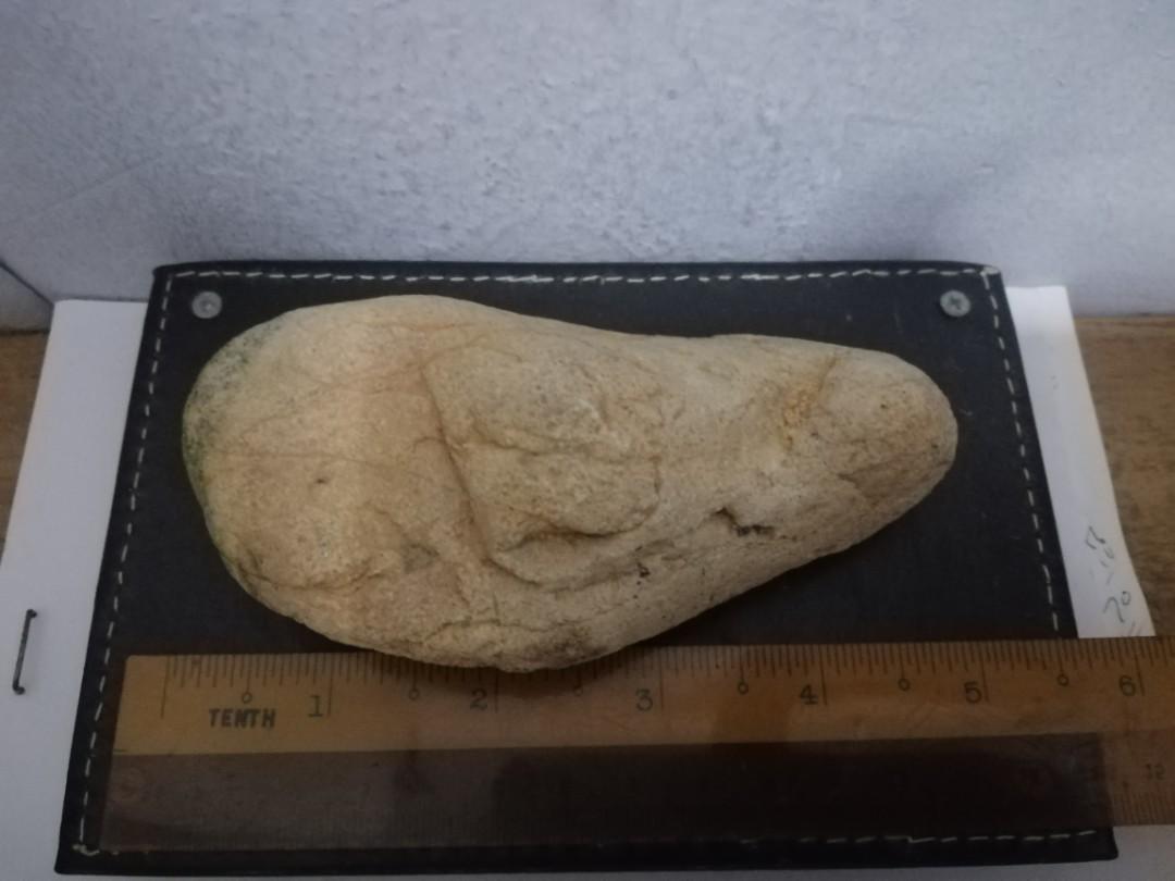 Rare Stone Crocodile Head, Everything Else, Others on Carousell
