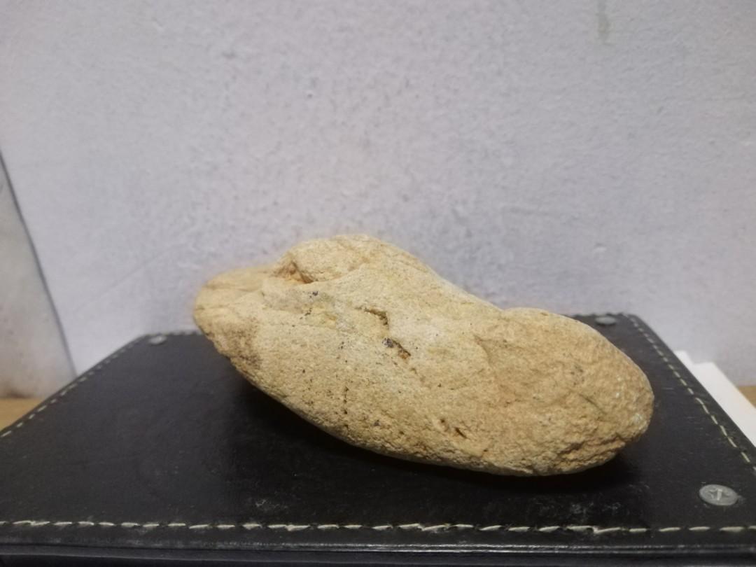 Rare Stone Crocodile Head, Everything Else, Others on Carousell