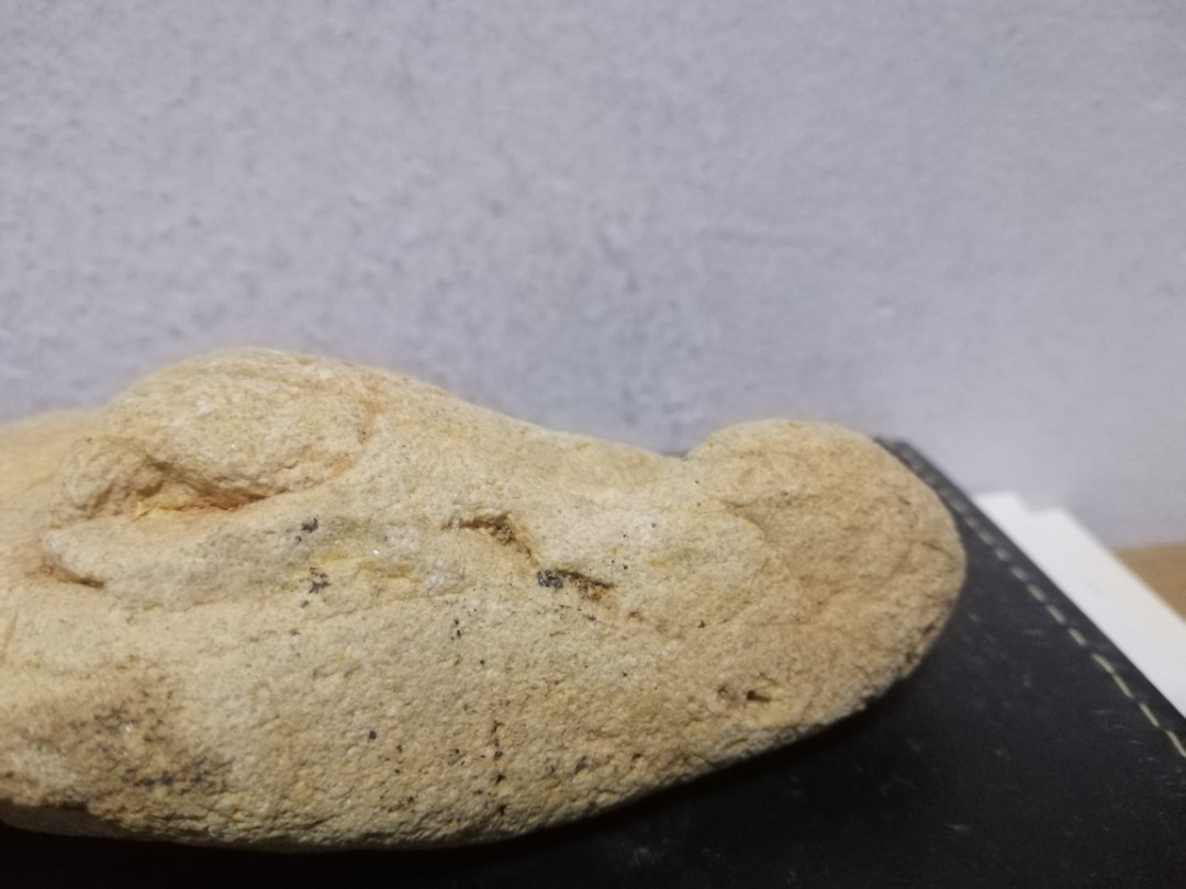 Rare Stone Crocodile Head, Everything Else, Others on Carousell