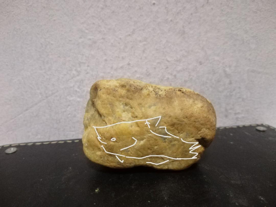 Rare Stone Fish Drawing, Everything Else, Others on Carousell