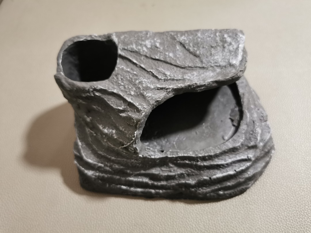 Turtle Drying Platform Climbing Large Water Tank Landscaping Back ...