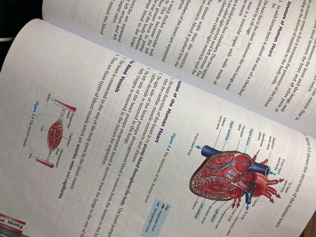 Focus PT3 Science(eng) form1,2,3 kssm book, Hobbies & Toys, Books ...