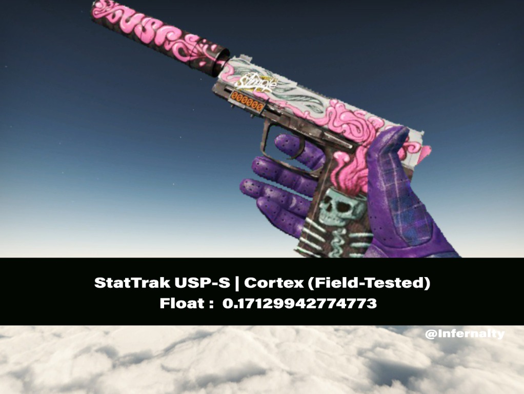 (0.17FV) StatTrak USP-S Cortex FT CSGO SKINS KNIVES, Video Gaming ...