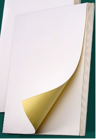 10 sheet per set A4 Matt sticker paper, Hobbies & Toys, Stationery ...