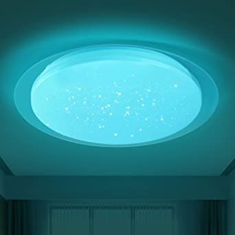 (5 STAR) LED Ceiling Light,25W Modern Round Ceiling Lights with Remote ...