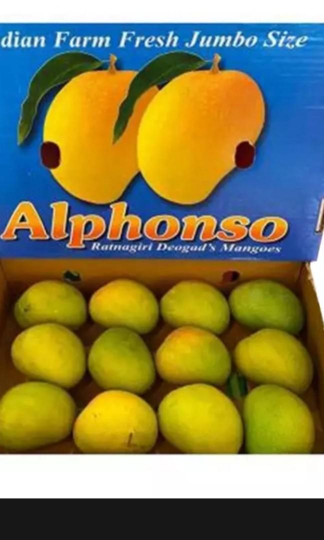 Alphonsa Mango, Food & Drinks, Packaged & Instant Food on Carousell