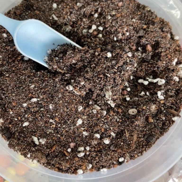 Premium Terrarium Mix Soil Package 200g and 300g options BBS0864 ...