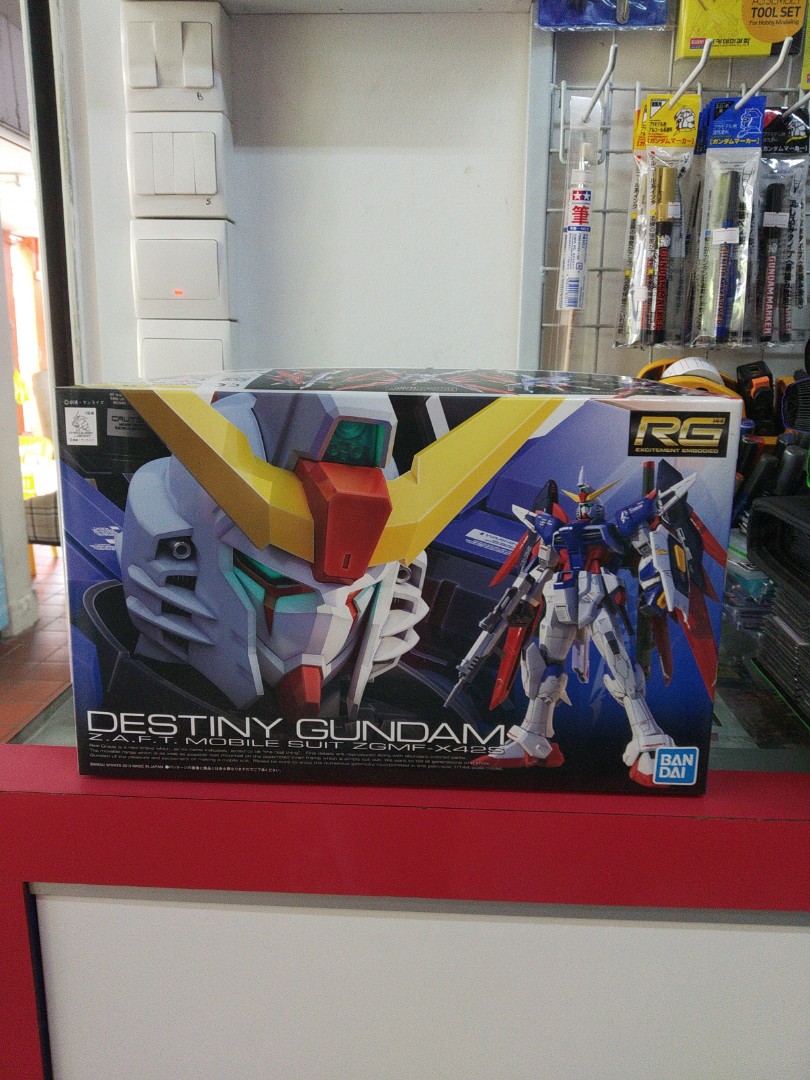 RG Real Grade 1/144 Destiny Gundam, Hobbies & Toys, Toys & Games on ...