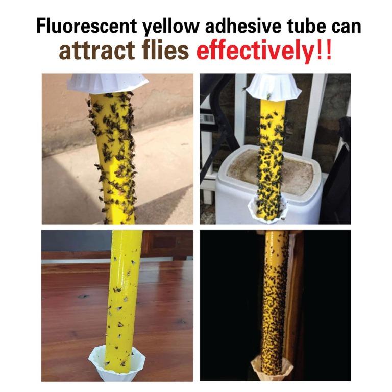 Fly Magic Stick Trap || INDOOR &OUTDOOR USE BM0558, Furniture & Home ...