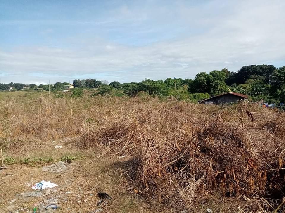 Molino Blvd., Bacoor, Niog Cavite Lot For Sale, Property, For Sale, Lot ...