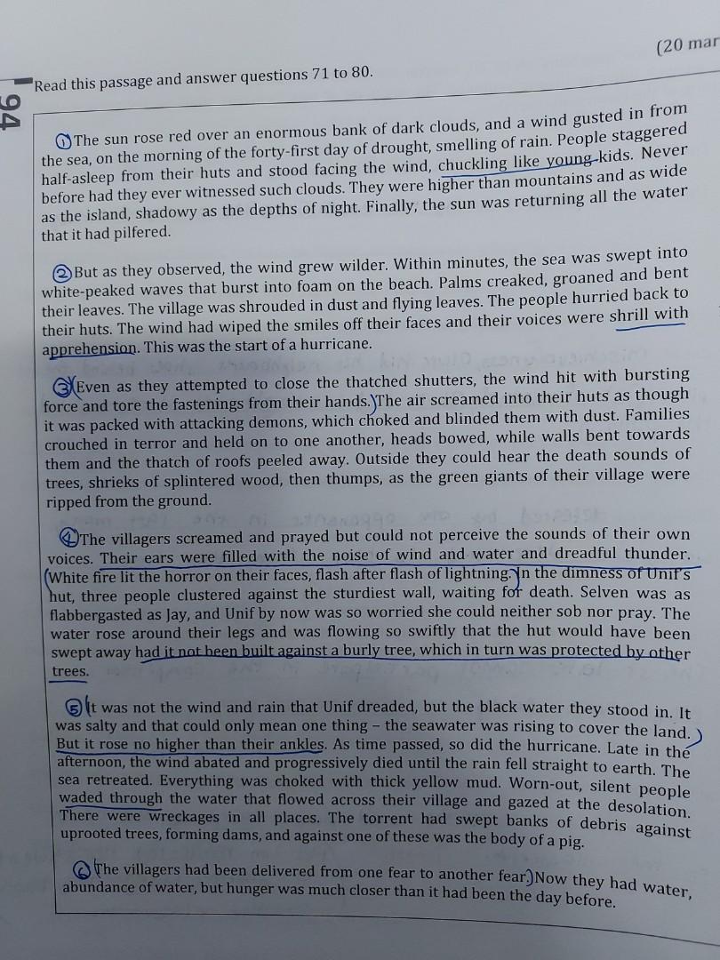 Primary 6 English Exam package - PhD Education, Hobbies & Toys, Books ...