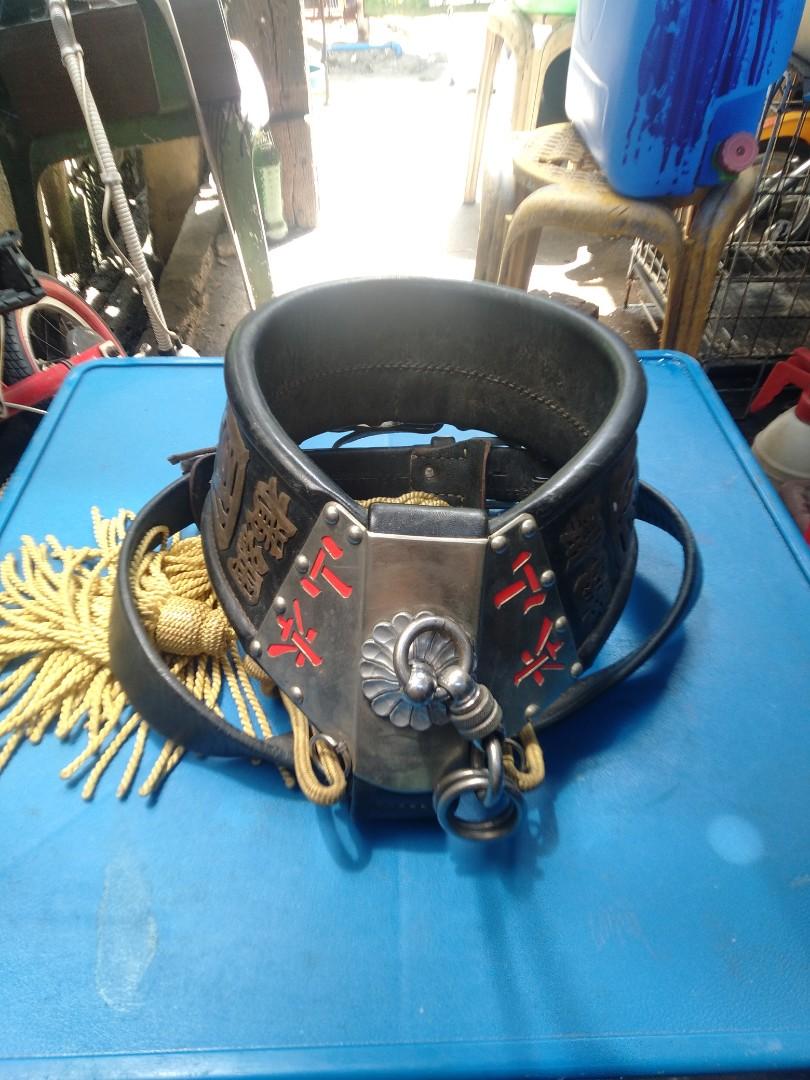 Dog collar for big dogs Vintage tosa ino/bulldog/pitbull, Hobbies ...