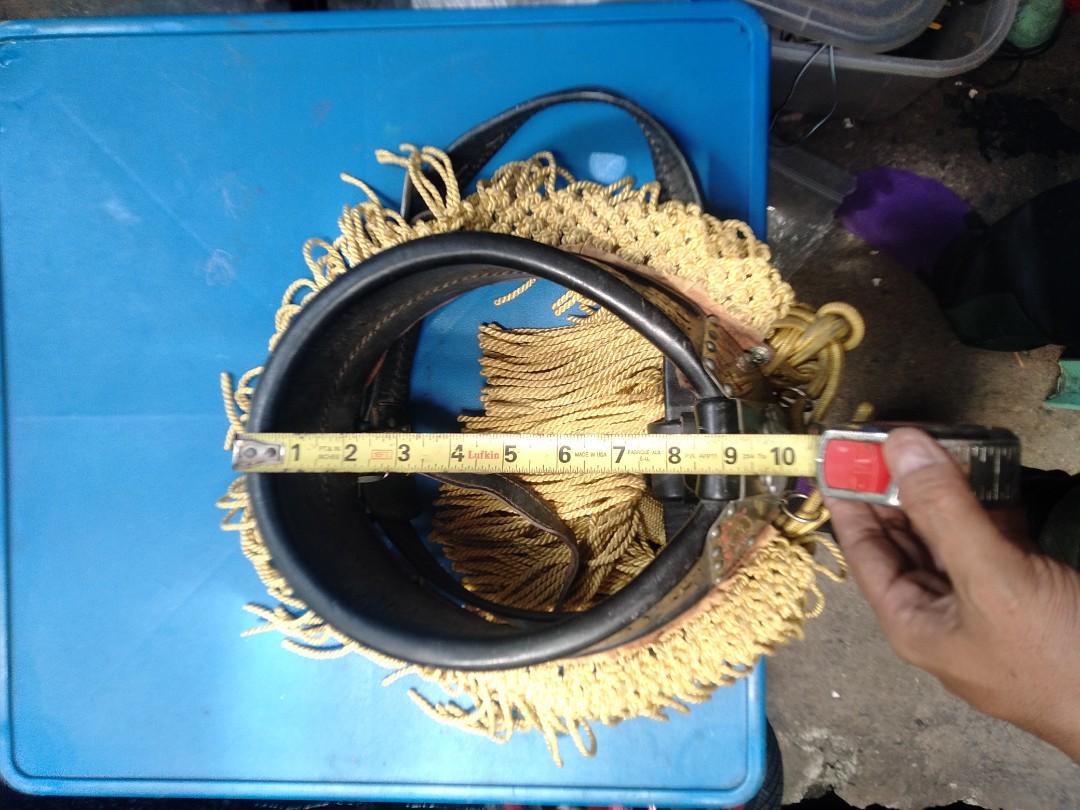 Dog collar for big dogs Vintage tosa ino/bulldog/pitbull, Hobbies ...