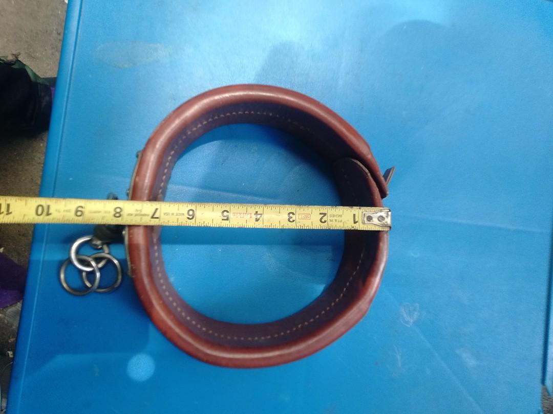 Dog collar for big dogs Vintage tosa ino/bulldog/pitbull, Hobbies ...