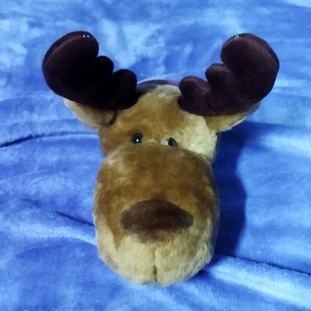 Wall-mounted Moose Head stuffed animal with hook, Hobbies & Toys, Toys ...