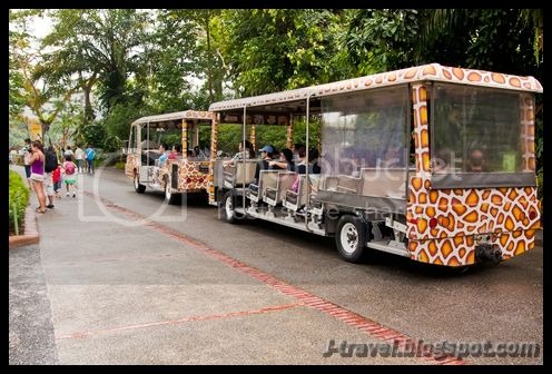 Zoo with Tram, Tickets & Vouchers, Local Attractions & Transport on ...