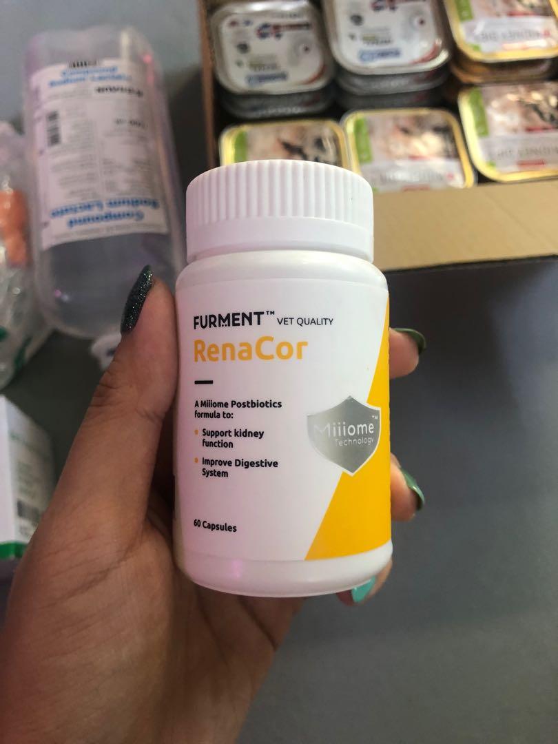 Cat renal kidney food supplies, Pet Supplies, Pet Food on Carousell