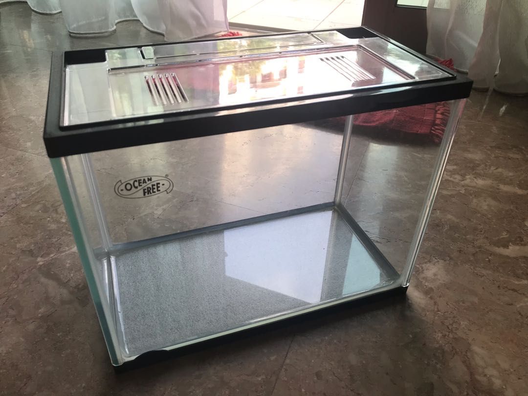 Ocean free fish tank, Pet Supplies, Homes & Other Pet Accessories on ...
