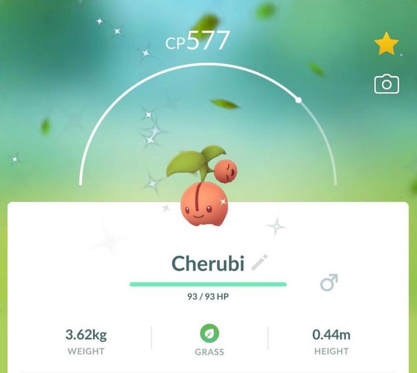 SHINY CHERUBI Pokemon Go, Video Gaming, Video Games, Others on Carousell
