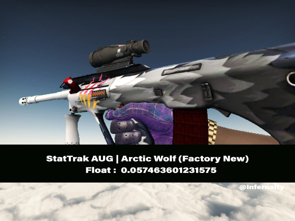StatTrak AUG Arctic Wolf FN CSGO SKINS KNIVES, Video Gaming, Gaming ...
