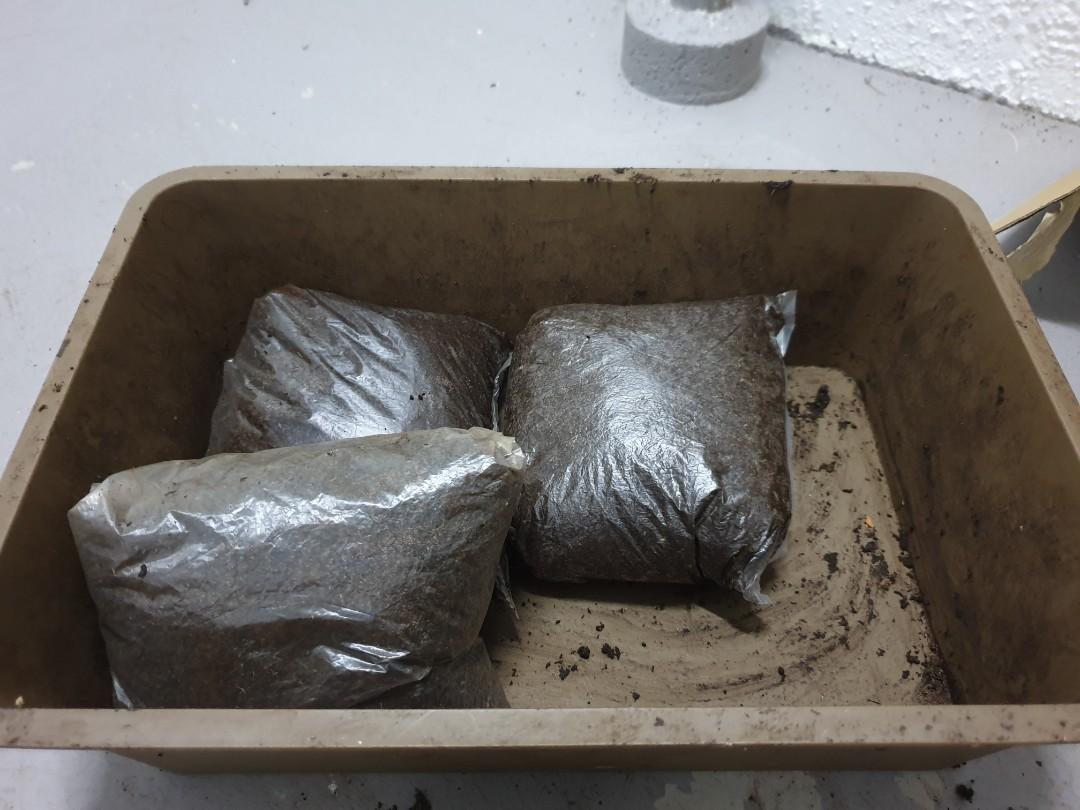 400g Worm Castings Homemade Vermicompost/Vermicast/Organic Fertilizer ...