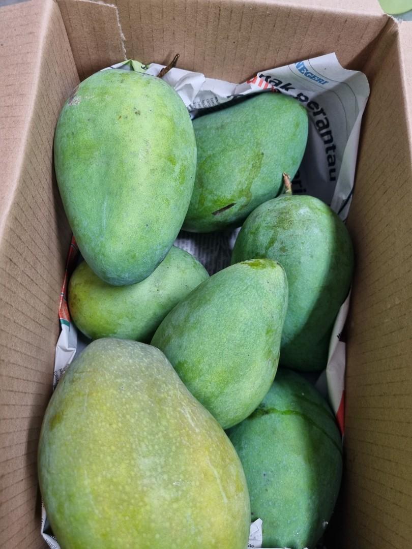 Harumanis, Food & Drinks, Local Eats on Carousell