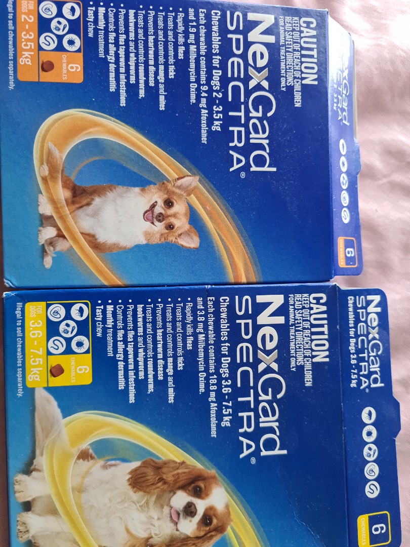 Nexguard Spectra, Pet Supplies, Pet Food on Carousell