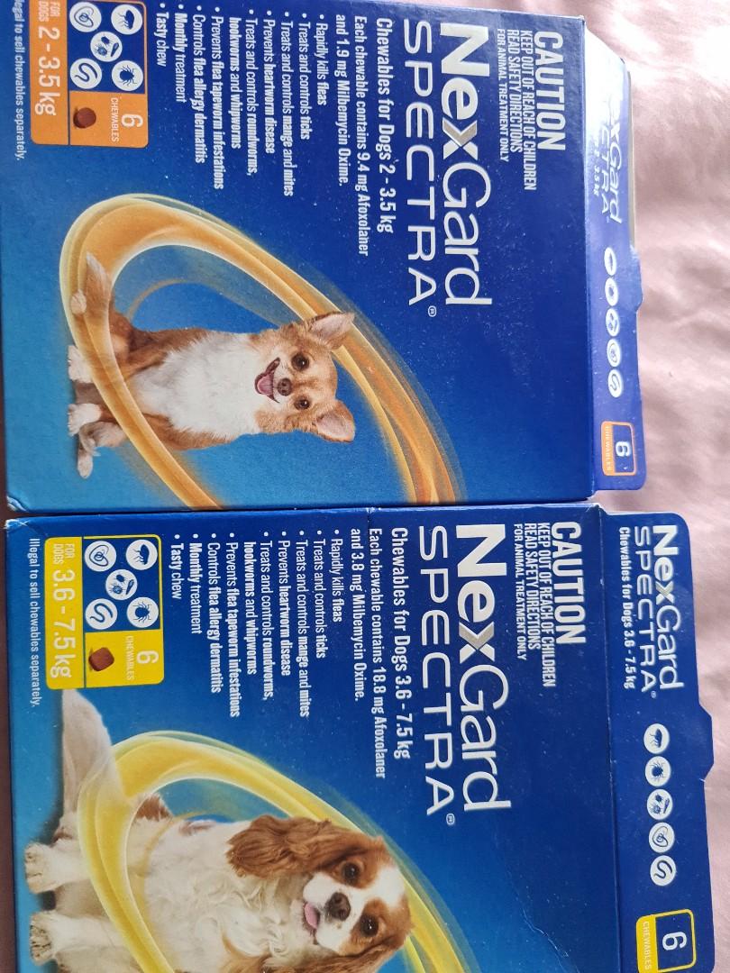 Nexguard Spectra, Pet Supplies, Pet Food on Carousell