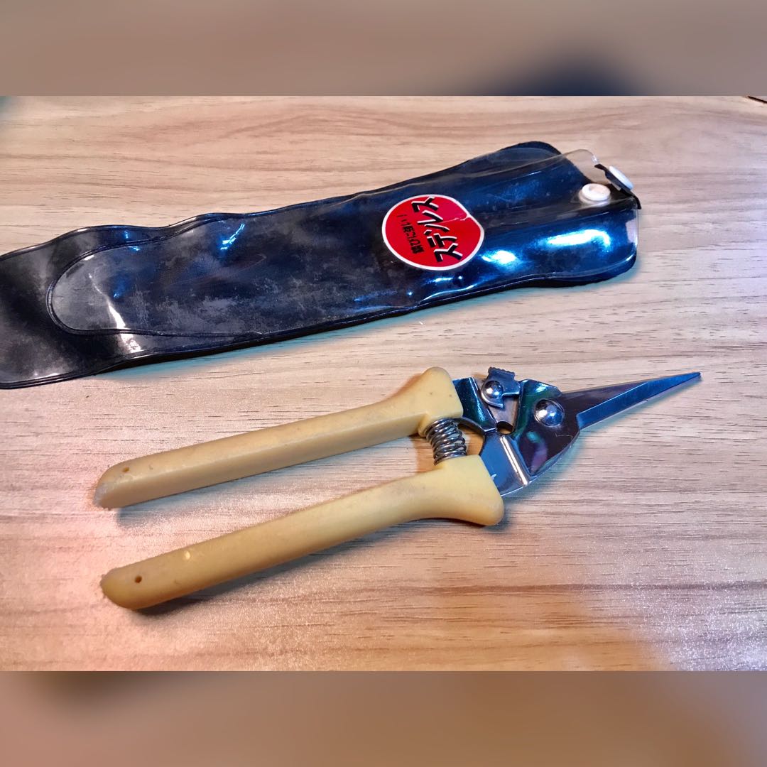 PRUNING Shears Japan, Hobbies & Toys, Stationary & Craft, Flowers ...