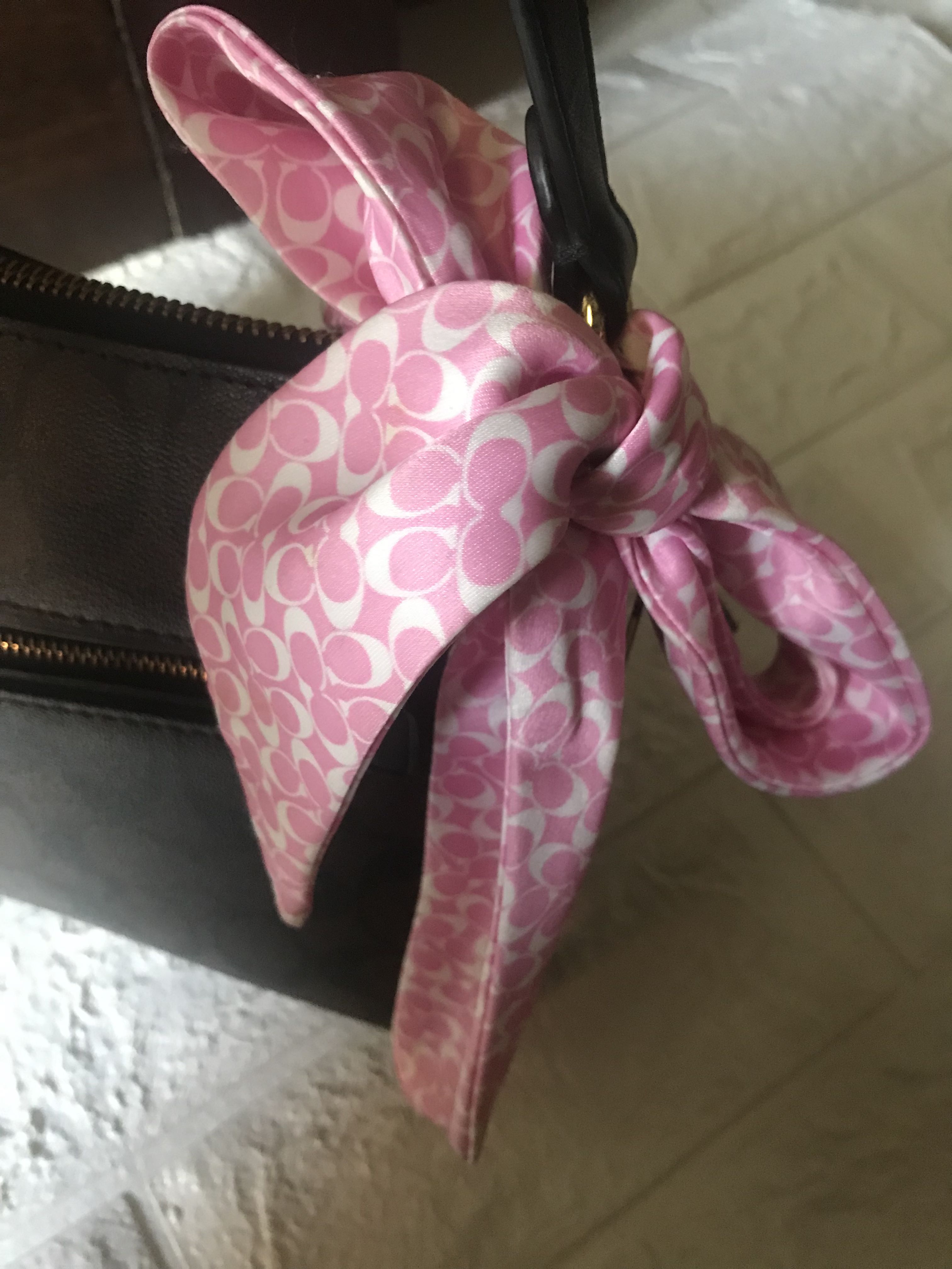 Original Coach Bag twilly, Women's Fashion, Bags & Wallets, Wallets ...