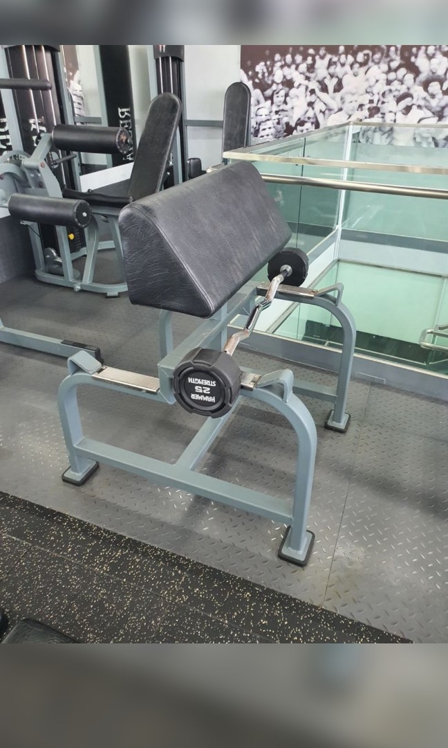 Hammer Strength Preacher Curl Bench, Sports Equipment, Exercise ...