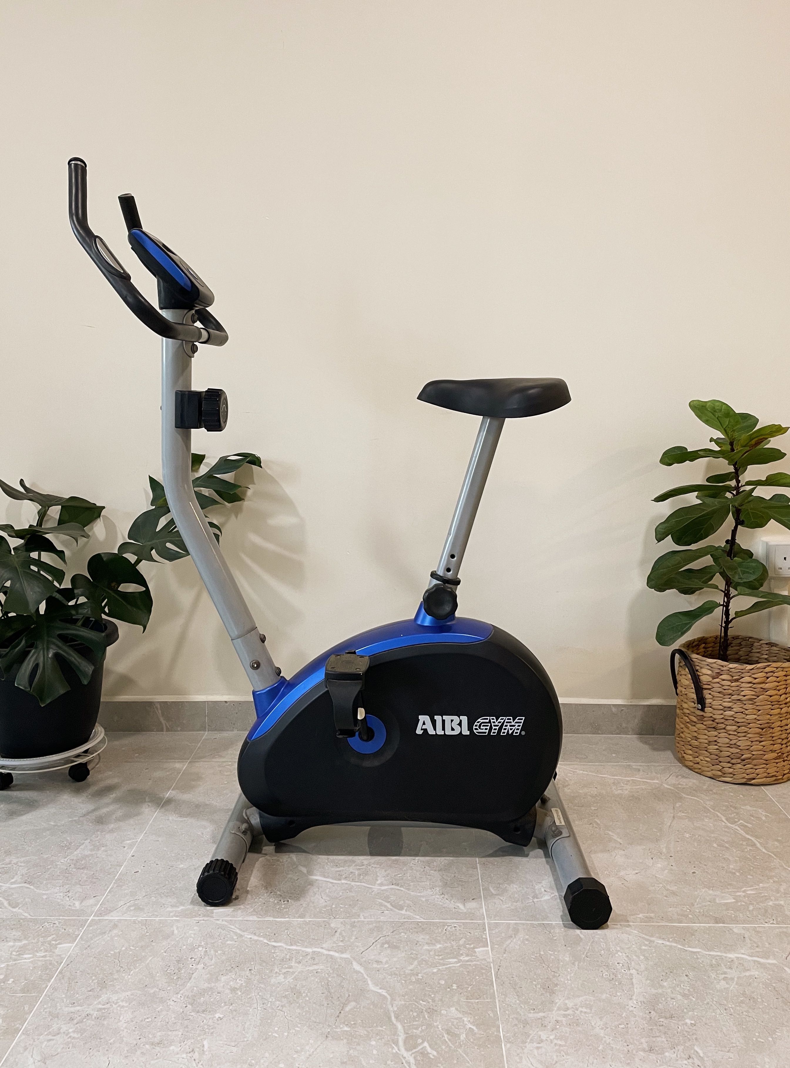 AIBI Exercise Bike, Sports Equipment, Exercise & Fitness, Cardio ...