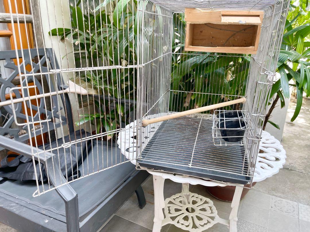 Bird Cage BIG with poop cage, Pet Supplies, Homes & Other Pet ...