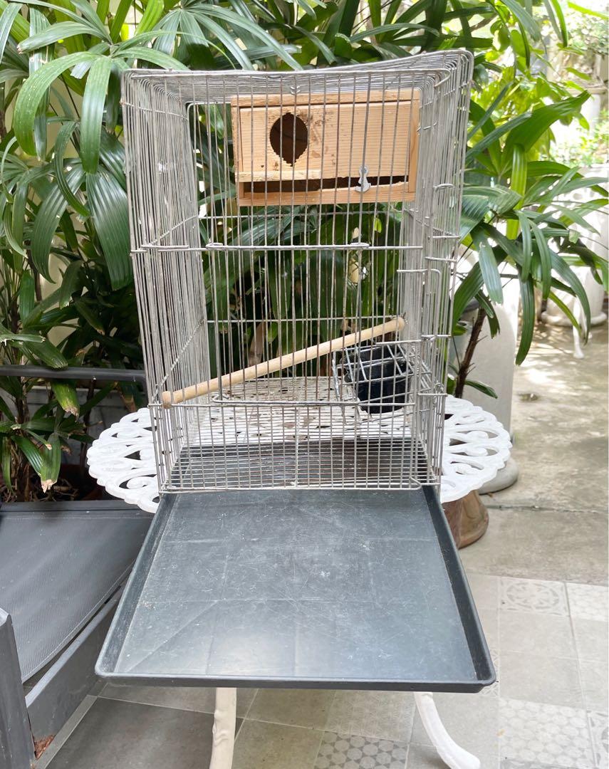 Bird Cage BIG with poop cage, Pet Supplies, Homes & Other Pet ...