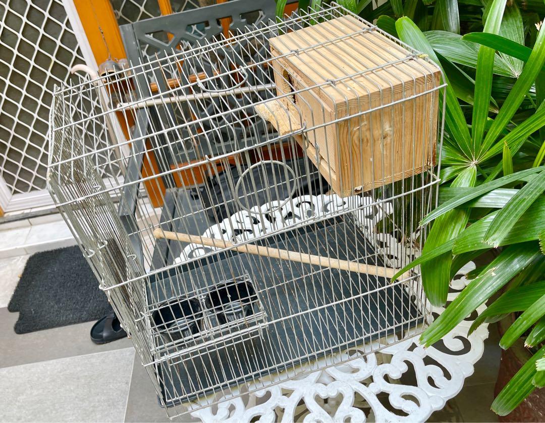 Bird Cage BIG with poop cage, Pet Supplies, Homes & Other Pet ...