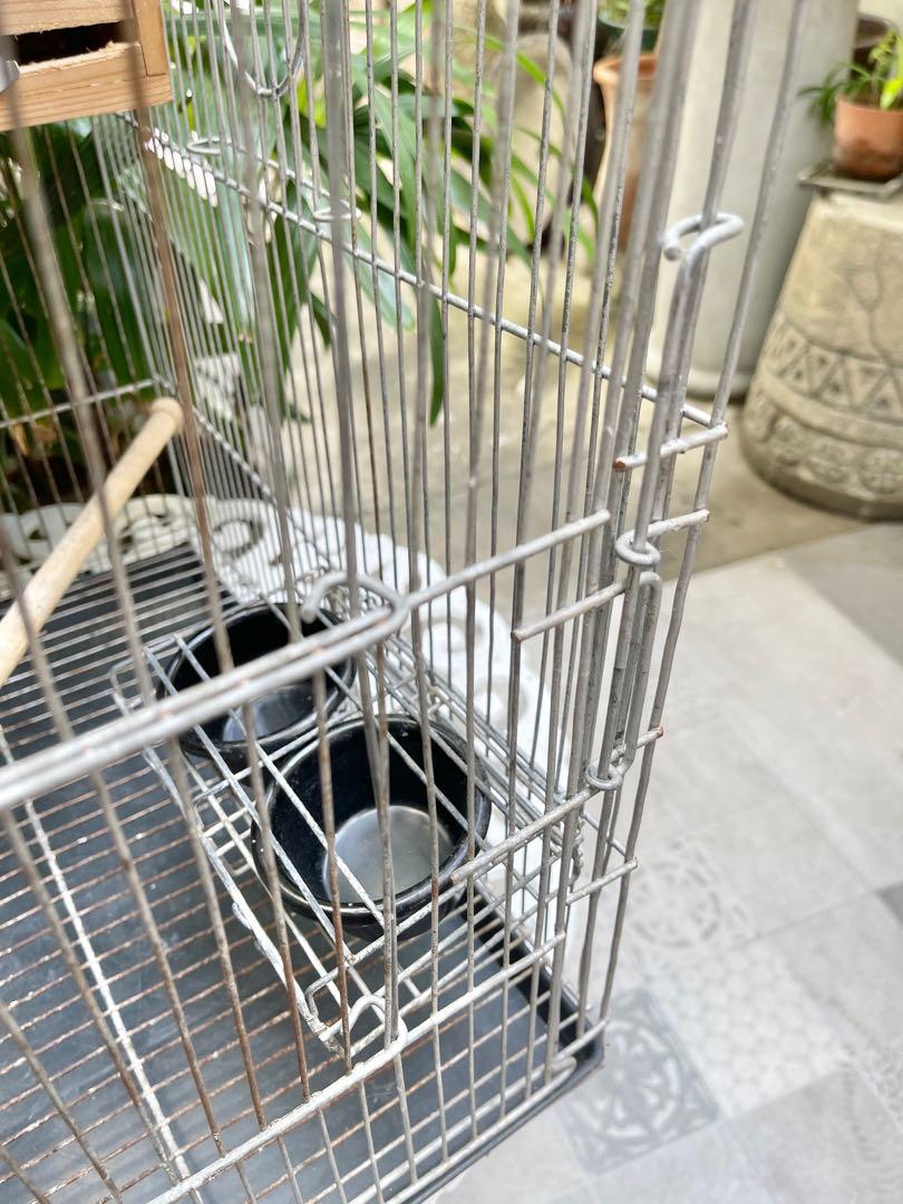 Bird Cage BIG with poop cage, Pet Supplies, Homes & Other Pet ...