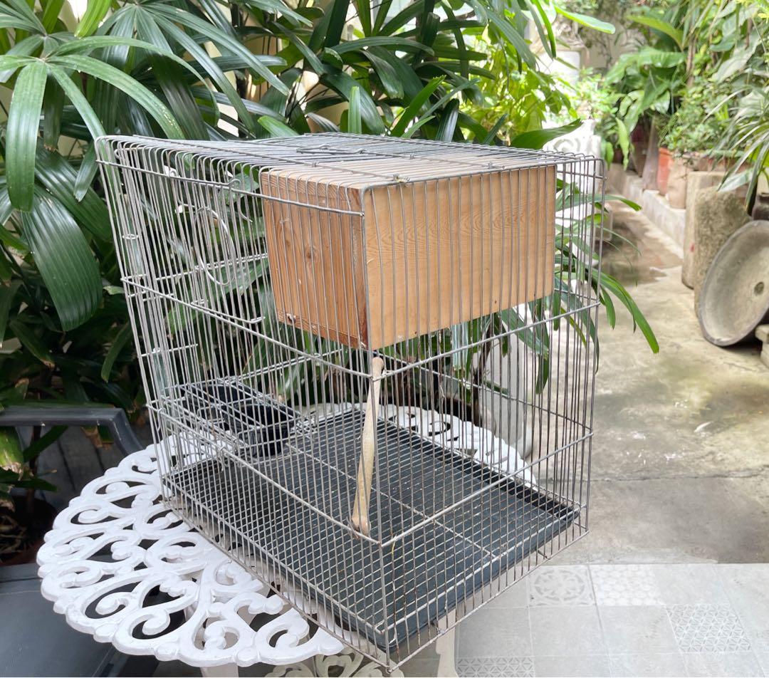 Bird Cage BIG with poop cage, Pet Supplies, Homes & Other Pet ...