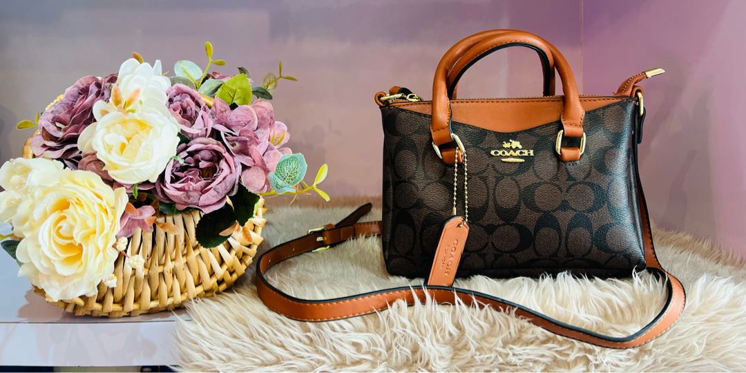 Coach Mini Two Way Bag, Luxury, Bags & Wallets on Carousell