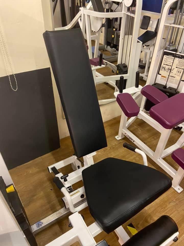 Paramount fitness gym performance line leg extension quad trainer ...