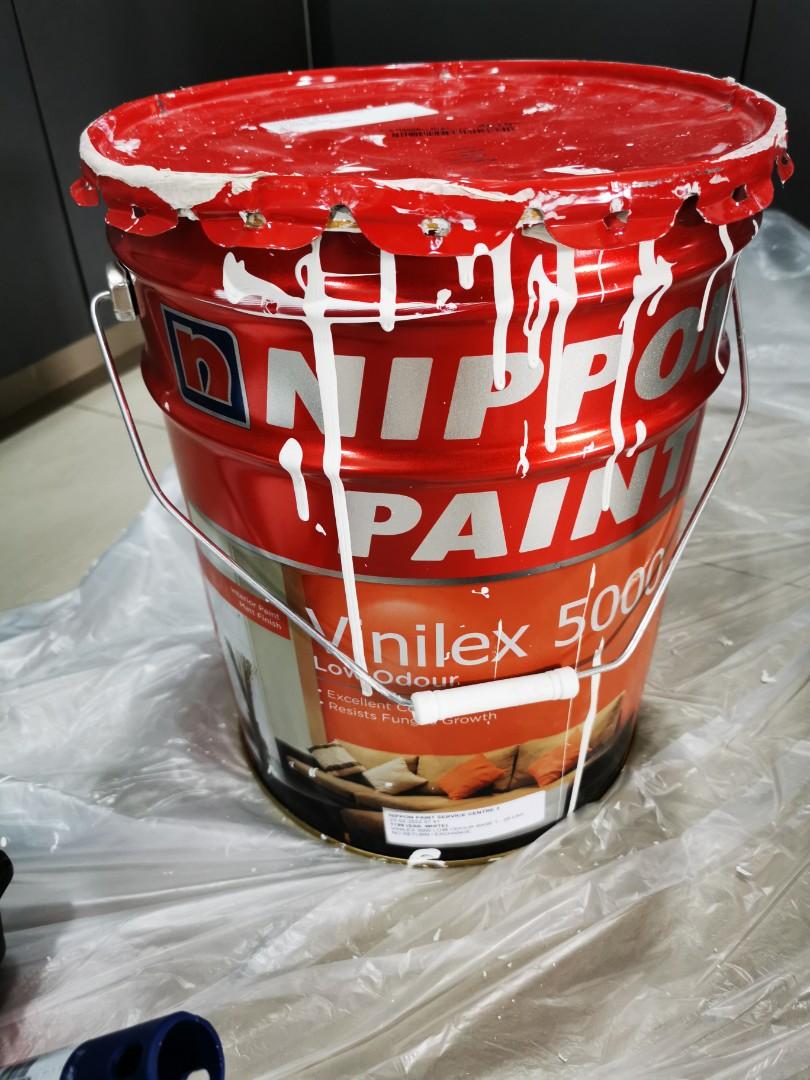 2 tins 5l paint, Everything Else on Carousell