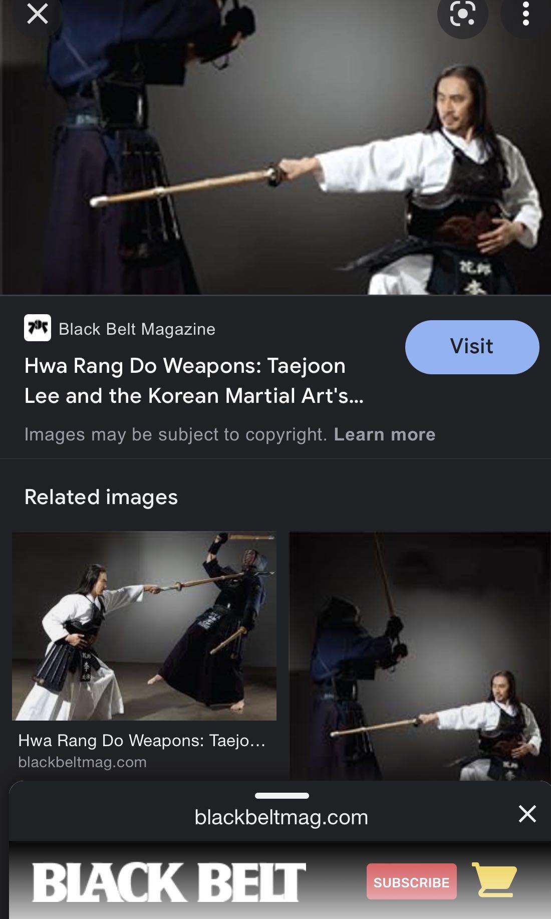 Kendo Kumdo thigh armor bogu, Sports Equipment, Other Sports Equipment ...