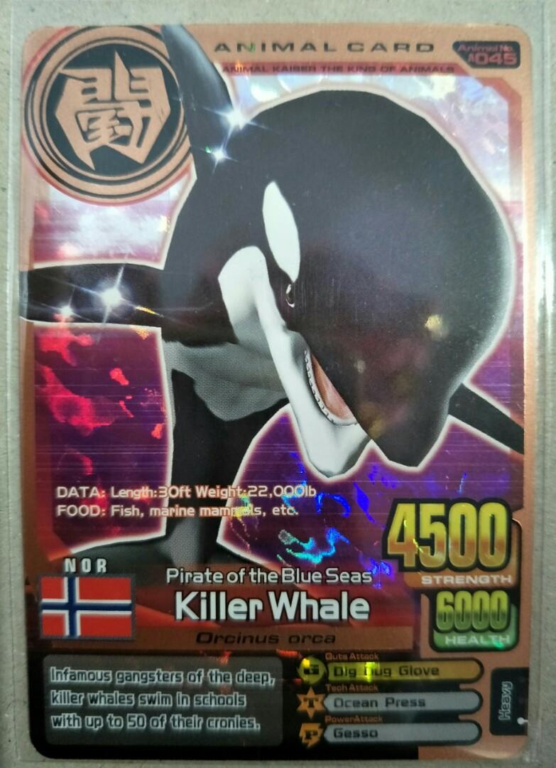 BANDAI Animal Kaiser Ver.4 Animal Card Killed Whale {Brown Rare ...