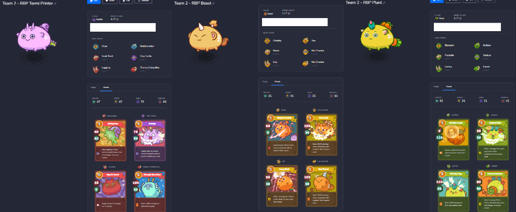 Class RBP Team AXIE INFINITY, Hobbies & Toys, Toys & Games on Carousell