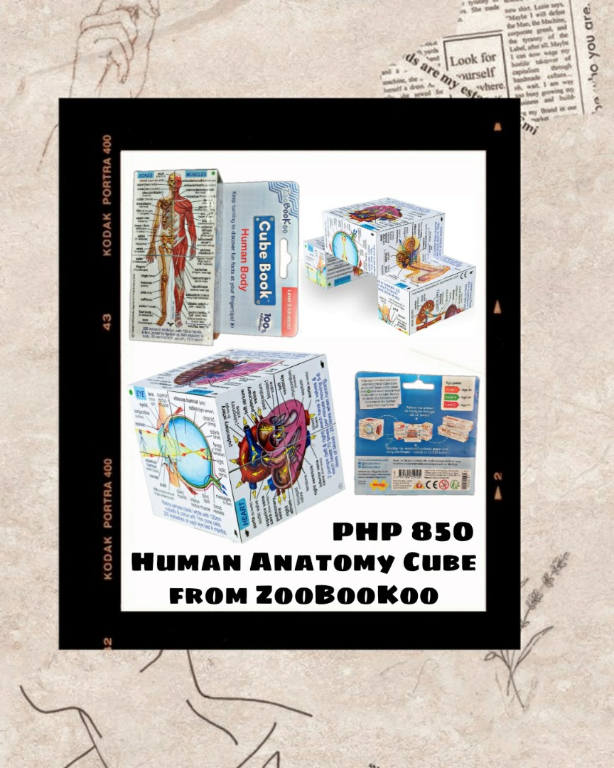 Human Anatomy Cube, Everything Else, Others on Carousell