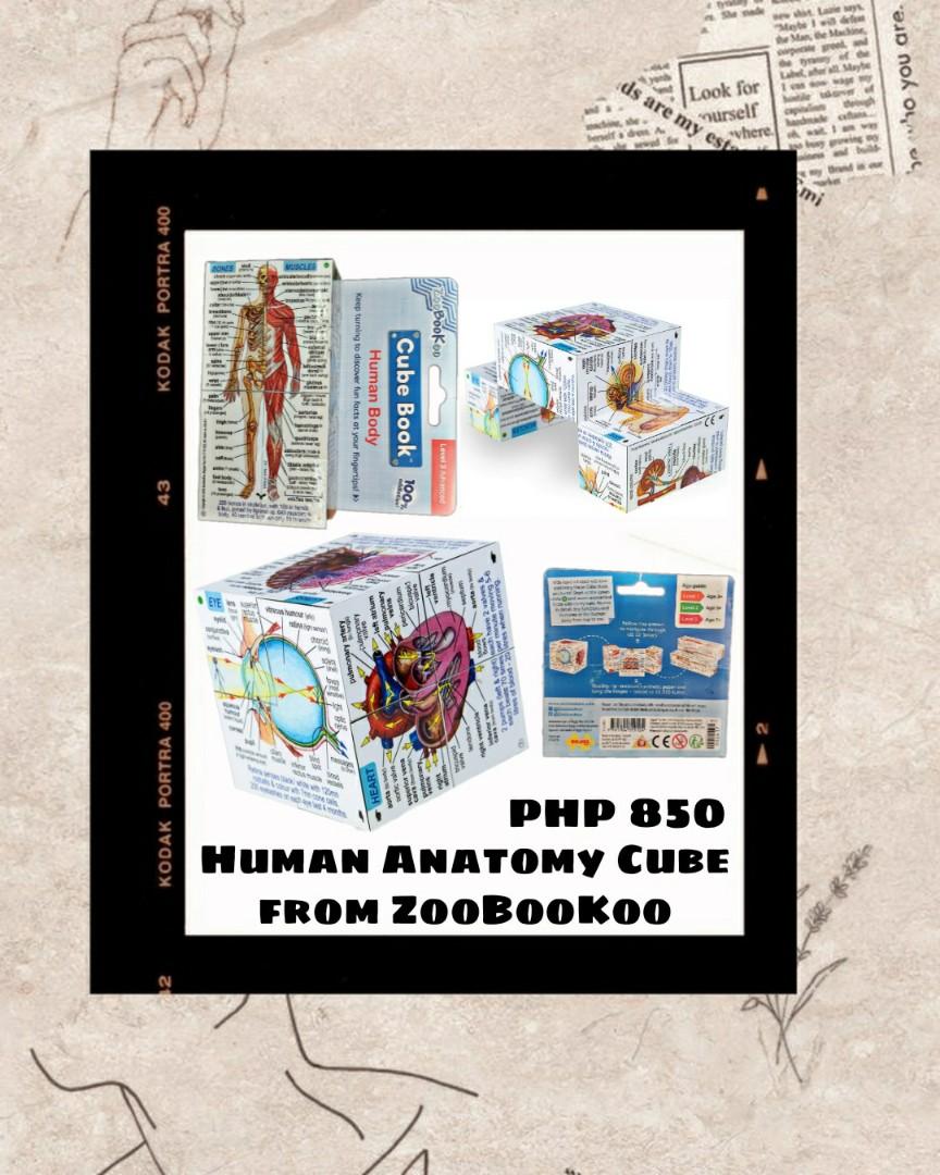Human Anatomy Cube, Everything Else, Others on Carousell