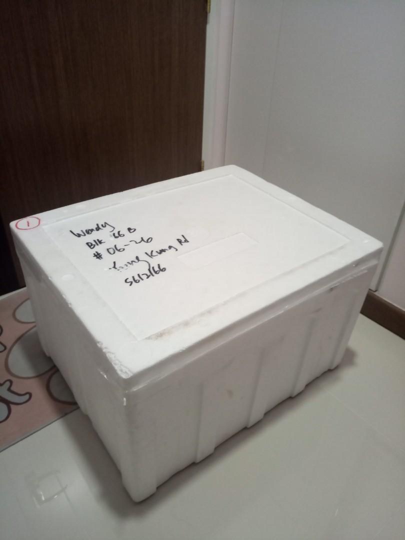 Large styrofoam box, Furniture & Home Living, Home Improvement ...