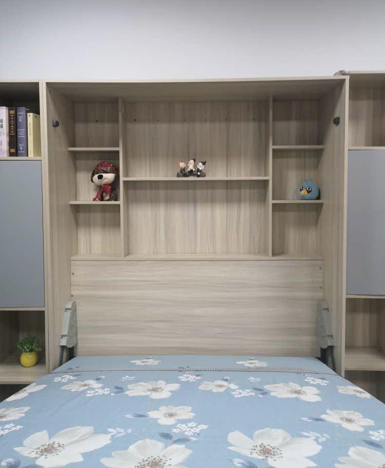 Motorized Queen Size Murphy Wall Bed And Manual Function (Exclude ...