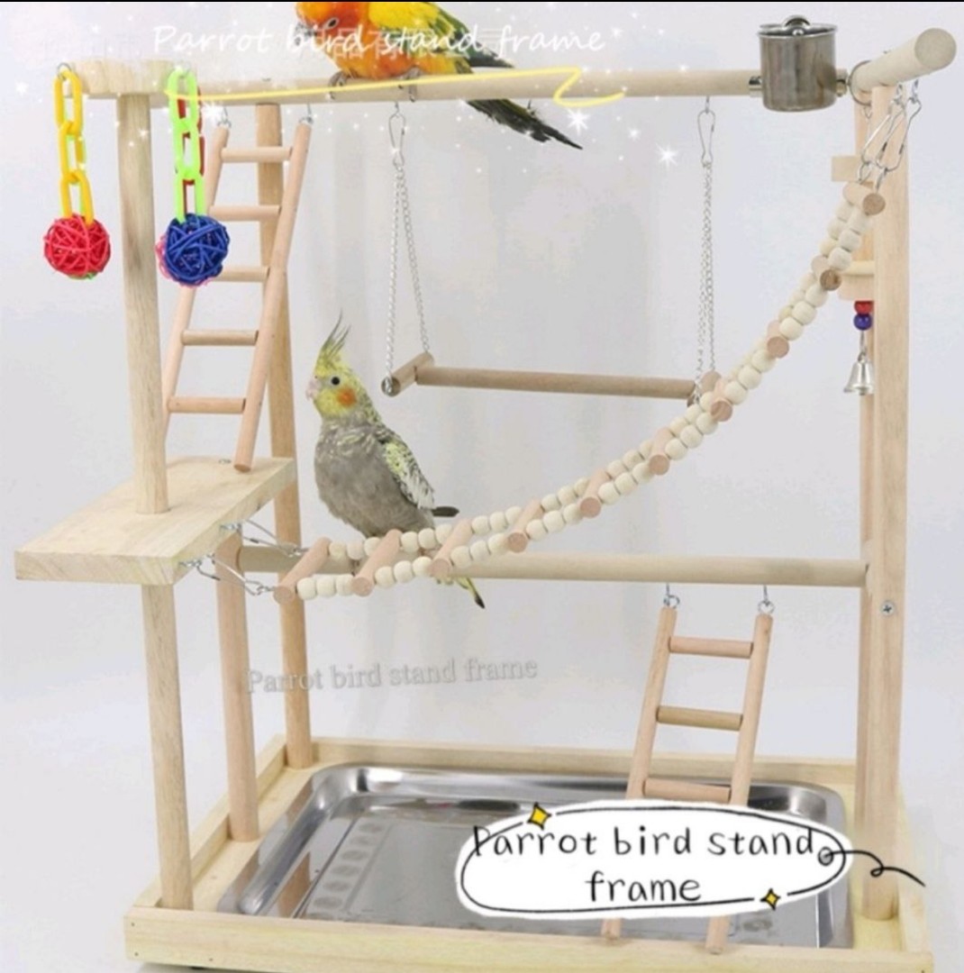 Parrot play pan of 48x33x54cm. Parrot Stand with multiple ladder ...