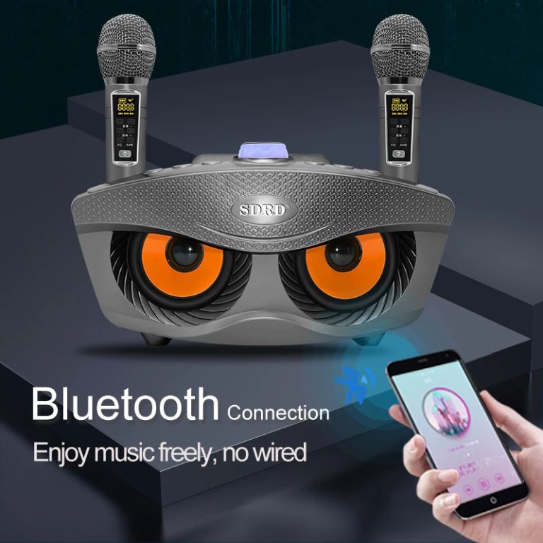 SDRD SD306 PLUS Dual Bluetooth Wireless Microphones Karaoke Set, Audio ...